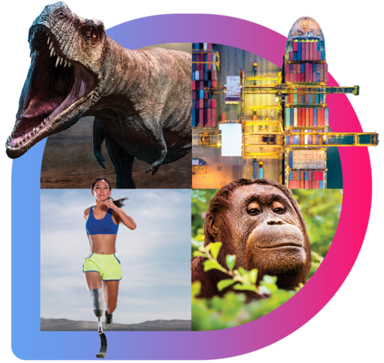 Twig Science Curriculum for PreK-8 | Imagine Learning