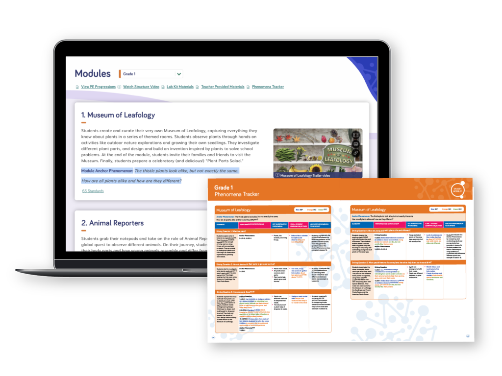 The Ultimate Guide to Phenomena - Imagine Learning