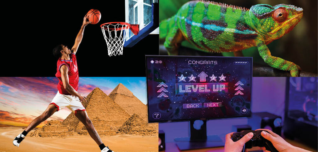 Products - Imagine Learning