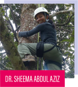 Twig Science NGSS-Aligned Middle School Curriculum - Imagine Learning