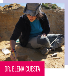 Twig Science NGSS-Aligned Middle School Curriculum - Imagine Learning