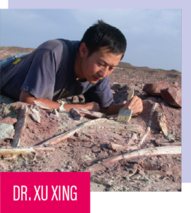 Twig Science NGSS-Aligned Middle School Curriculum - Imagine Learning