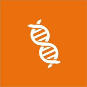 The Ultimate Guide to Disciplinary Core Ideas - Imagine Learning