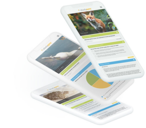 StudySync - Imagine Learning